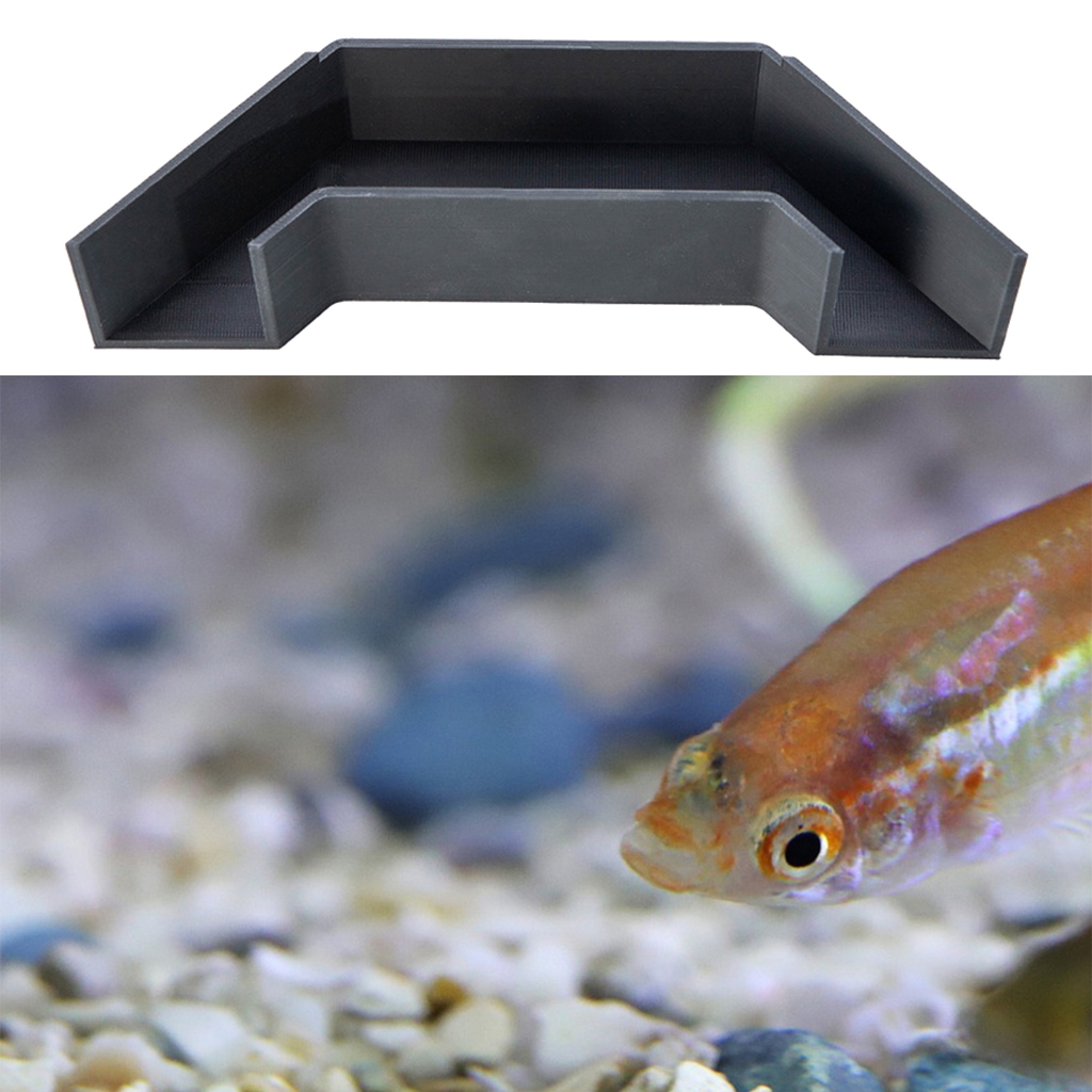 Fish Shrimp Breeding Cave Small Aquariums Hideouts Shelter Fish ...